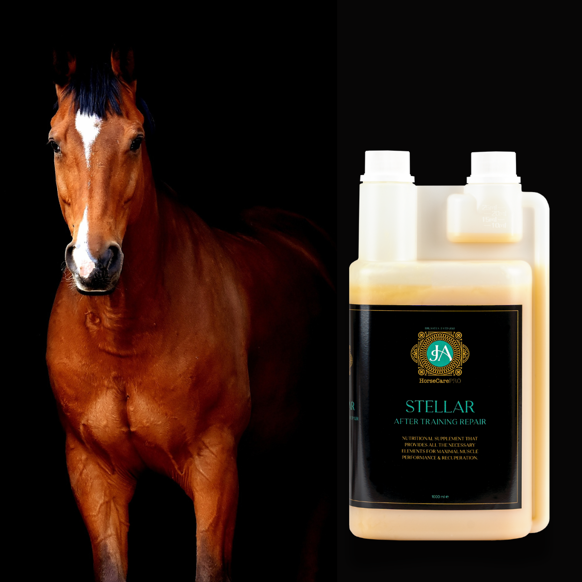 Muscle preservation & building with "VSL"